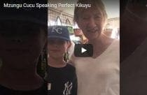 Njonjo Mue, Khalifa lawyers in tight spot after filing documents late