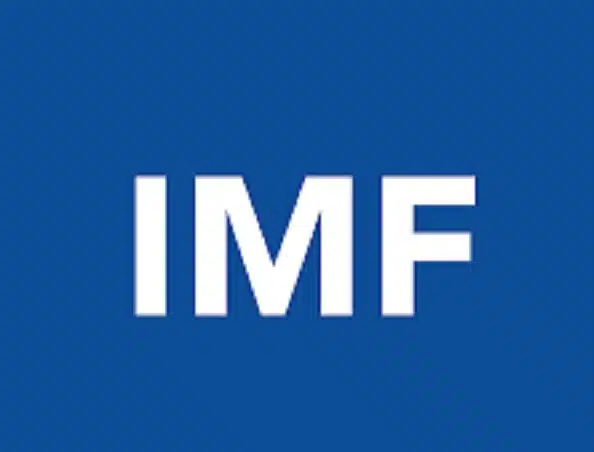 IMF appoints Nancy Onyango as Director of Internal Audit